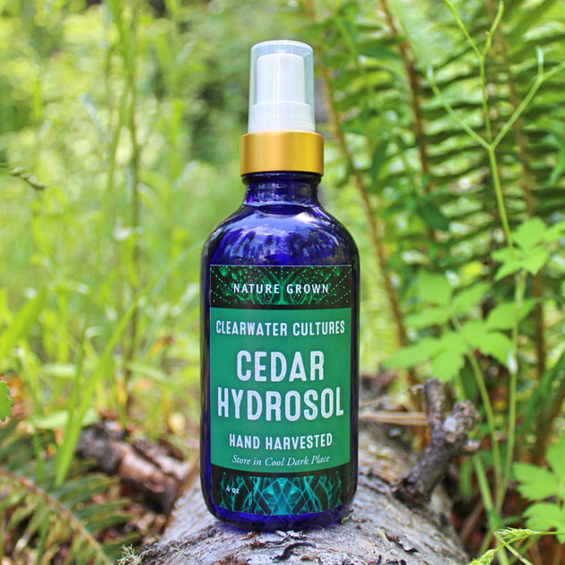 CEDAR HYDROSOL- MEDICINAL, WILDCRAFTED, NATURE GROWN- 4OZ. – Clearwater ...