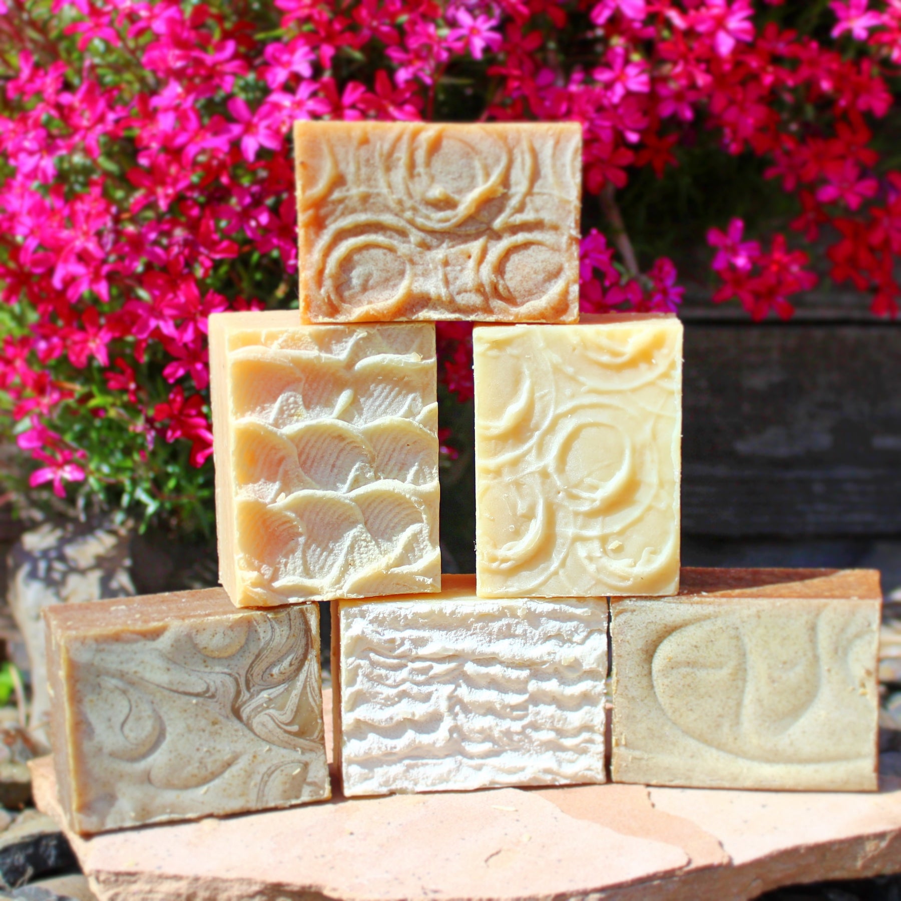 Economic Shampoo & Soap Bars – Clearwater Cultures