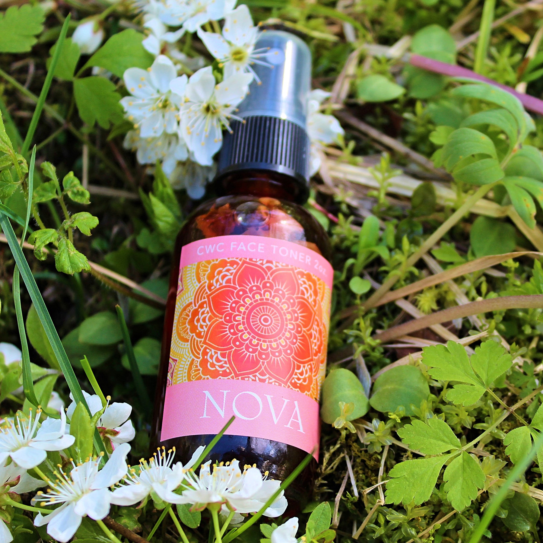 Nova (Radiance) Face Toner - Organic, Probiotic, & Medicinal - 2oz ...