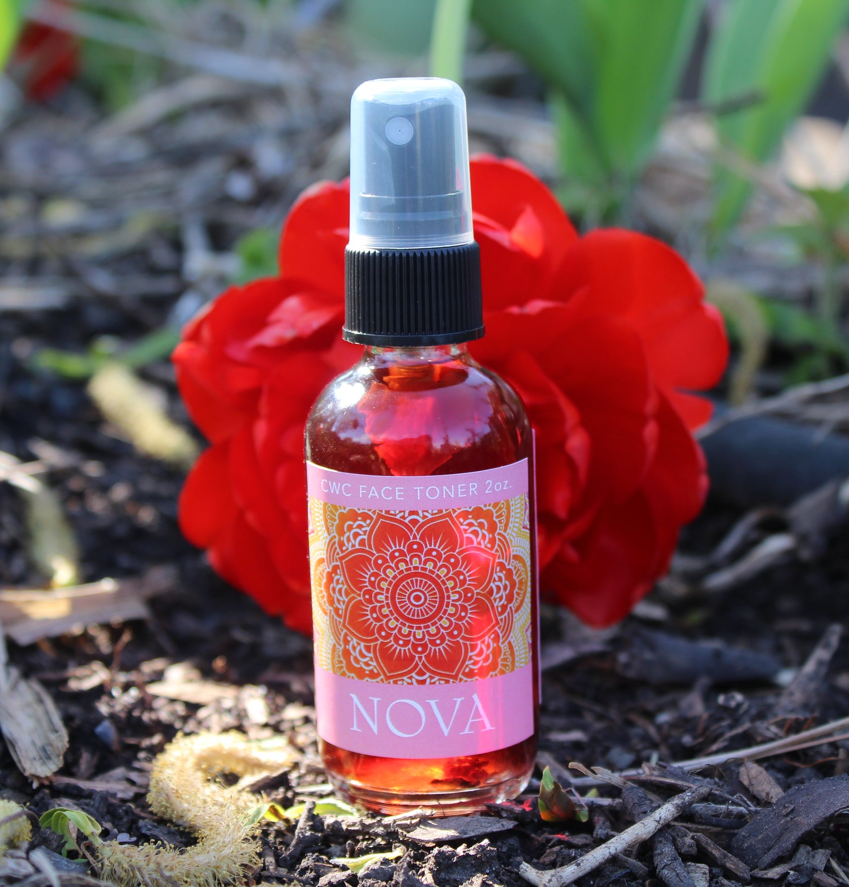 Nova (Radiance) Face Toner - Organic, Probiotic, & Medicinal - 2oz ...