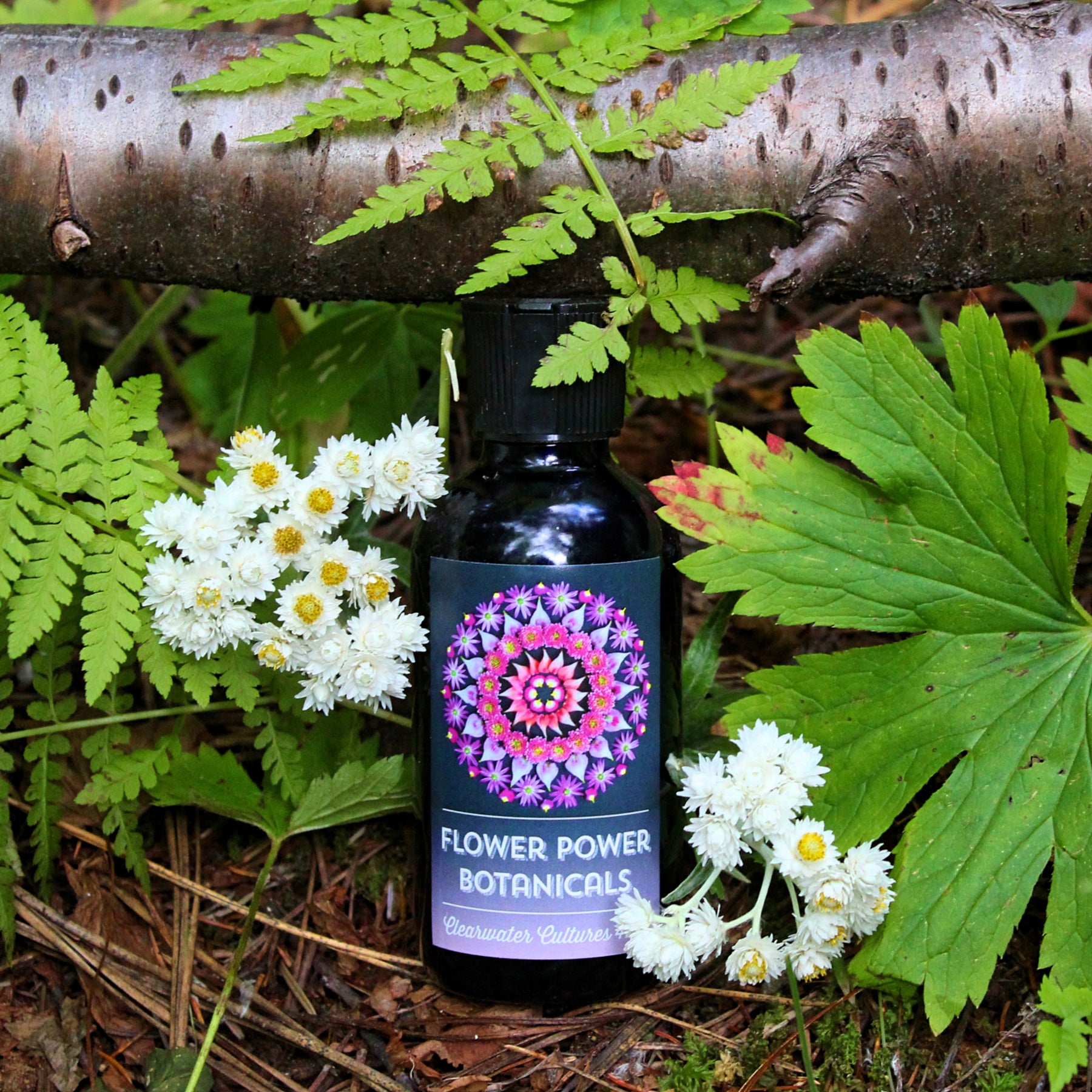 Flower Power - Probiotic, Organic, & Medicinal - Body Spray - 4oz ...