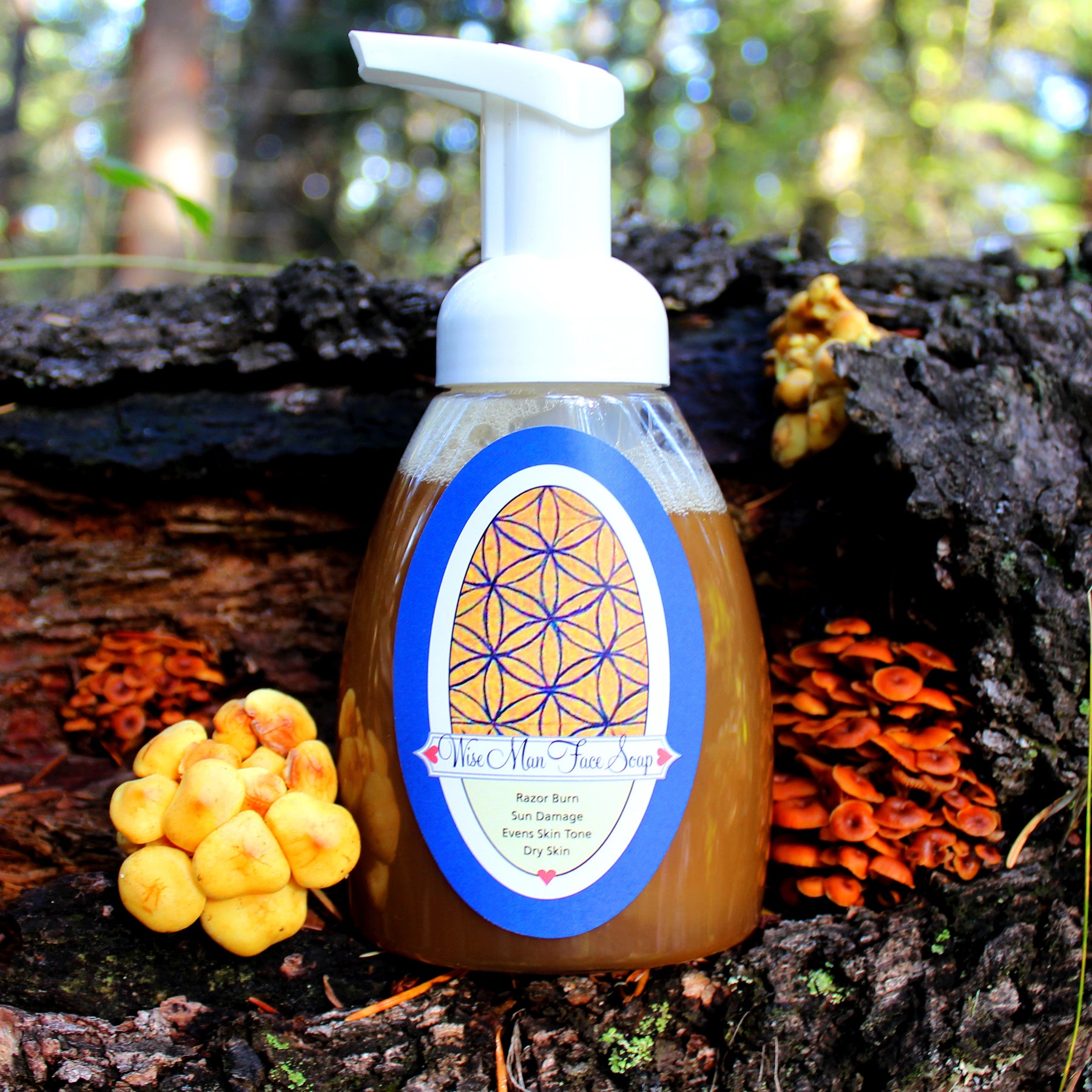 WISE MAN FACE SOAP - MEDICINAL, PROBIOTIC, & ORGANIC - 8.5 OZ (250ML ...